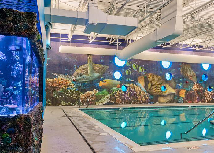 Featured MEP Projects